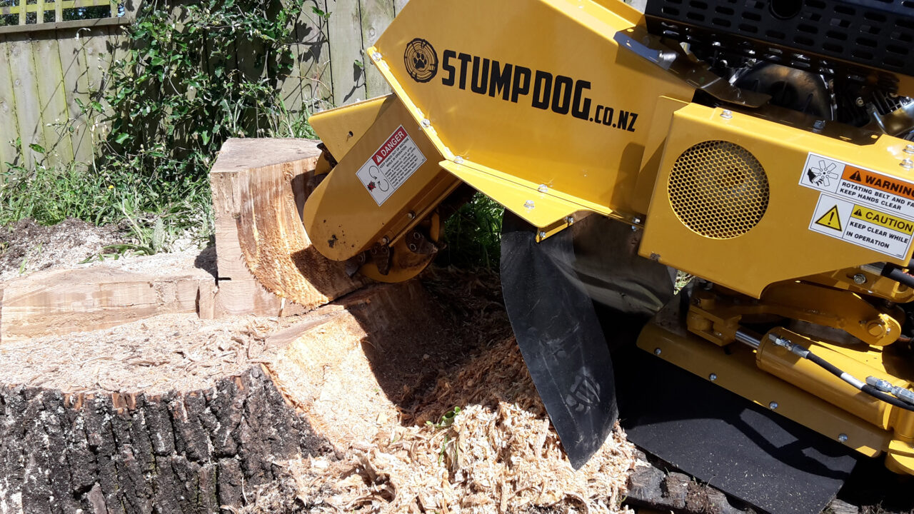 Gallery | Professional Stump Grinding Auckland | StumpDog