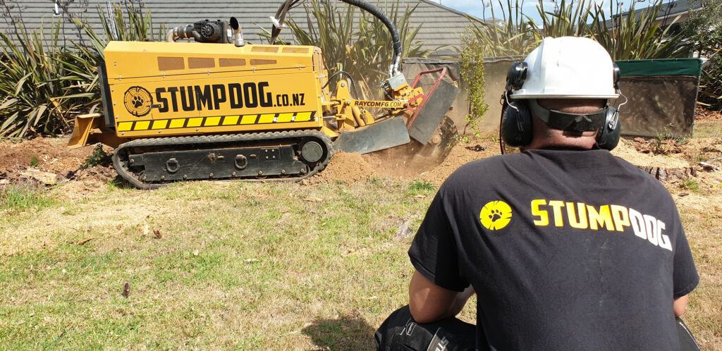 Tree Stump Removal Guide: Grinding, Chemical, Excavation Techniques ...